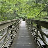 Bee Brook Loop, Connecticut - 1,050 Reviews, Map | AllTrails