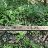 Bee Brook Loop, Connecticut - 1,050 Reviews, Map | AllTrails