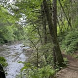 Bee Brook Loop, Connecticut - 1,050 Reviews, Map | AllTrails
