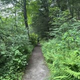 Bee Brook Loop, Connecticut - 1,050 Reviews, Map | AllTrails