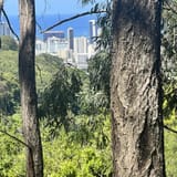 Makiki Valley Loop, Oahu, Hawaii - 5,803 Reviews, Map | AllTrails