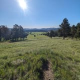 Elk Meadow, Colorado - 1,311 Reviews, Map | AllTrails