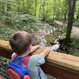 Harpeth Woods Trail, Tennessee - 2,704 Reviews, Map | AllTrails