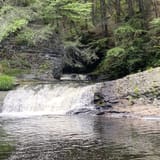 Hackers Falls and Cliff Trail Loop, Pennsylvania - 1,978 Reviews, Map ...