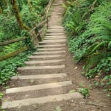 Puget Park Trail, Washington - 339 Reviews, Map | AllTrails