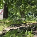 Gambrill State Park Loop, Maryland - 724 Reviews, Map | AllTrails