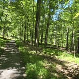 Gambrill State Park Loop, Maryland - 724 Reviews, Map | AllTrails