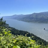 Cape Horn Loop Trail, Washington - 4,661 Reviews, Map | AllTrails
