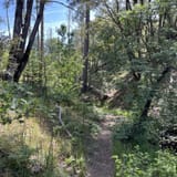 Angel Falls via Willow Creek Trail, California - 2,302 Reviews, Map ...