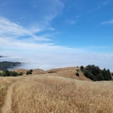 Timber Top and Boronda Trail, California - 750 Reviews, Map | AllTrails