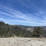 Muir Grove Trail, California - 392 Reviews, Map | AllTrails