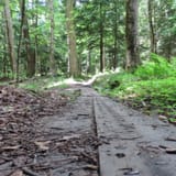 Sprague Brook Park Trail, New York - 1,384 Reviews, Map | AllTrails