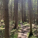 Sprague Brook Park Trail, New York - 1,384 Reviews, Map | AllTrails
