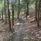 Sprague Brook Park Trail, New York - 1,384 Reviews, Map | AllTrails