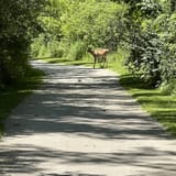 Sippo Lake Trail, Ohio - 720 Reviews, Map | AllTrails