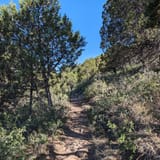 Grindstone Canyon Loop, New Mexico - 1,735 Reviews, Map | AllTrails