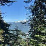 Pinnacle Lake Trail, Washington - 344 Reviews, Map | AllTrails