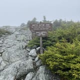 Mount Abraham via Long Trail, Vermont - 1,186 Reviews, Map | AllTrails