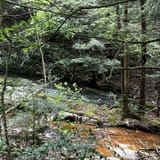 Prospect Rock Trail, Vermont - 946 Reviews, Map | AllTrails