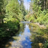 Alsea Falls and Green Peak Falls, Oregon - 1,206 Reviews, Map | AllTrails