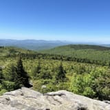 Wilburn Ridge via Appalachian Trail, Virginia - 2,123 Reviews, Map ...
