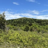 Wilburn Ridge via Appalachian Trail, Virginia - 2,123 Reviews, Map ...
