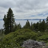 Monkey Rock Trail, Nevada - 5,825 Reviews, Map | AllTrails