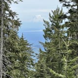 Mount Rose Trail, Washington - 1,301 Reviews, Map | AllTrails