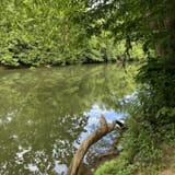 Fieldale Trail , Virginia - 77 Reviews, Map | AllTrails