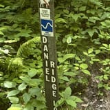 Daniel Ridge Loop, North Carolina - 2,008 Reviews, Map | AllTrails