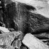 Daniel Ridge Loop, North Carolina - 2,012 Reviews, Map | AllTrails