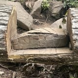 Daniel Ridge Loop, North Carolina - 1,963 Reviews, Map | AllTrails