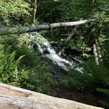Mima Falls Loop, Washington - 1,673 Reviews, Map | AllTrails