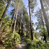 Sasamat Lake, British Columbia, Canada - 1,357 Reviews, Map | AllTrails