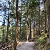 Sasamat Lake, British Columbia, Canada - 1,357 Reviews, Map | AllTrails