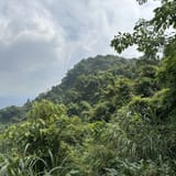 Nangang Mountain Main Ridge Trail, Taipei City, Taiwan - 341 Reviews ...