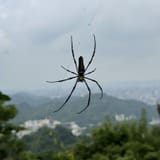 Nangang Mountain Main Ridge Trail, Taipei City, Taiwan - 341 Reviews ...