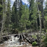 North Fork Big Thompson River Trail Via Dunraven Trailhead, Colorado ...