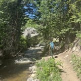 North Fork Big Thompson River Trail Via Dunraven Trailhead, Colorado ...