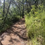 Hidden Falls Trail, California - 4,000 Reviews, Map | AllTrails