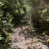 Hiouchi Trail, California - 542 Reviews, Map | AllTrails