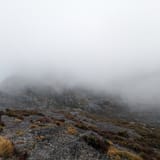 Mount Murchison Track, Tasmania, Australia - 308 Reviews, Map | AllTrails