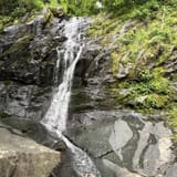 Jones Run Falls Trail, Virginia - 855 Reviews, Map | AllTrails