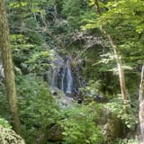 Jones Run Falls Trail, Virginia - 855 Reviews, Map | AllTrails