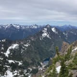 Mount Ellinor Trail, Washington - 2,662 Reviews, Map | AllTrails