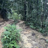 Bukit Serdang Trail, Selangor, Malaysia - 339 Reviews, Map | AllTrails