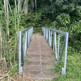 Bukit Serdang Trail, Selangor, Malaysia - 339 Reviews, Map | AllTrails