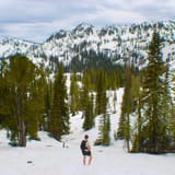 Blue Lake Trail, Idaho - 467 Reviews, Map | AllTrails