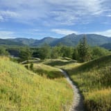 Hummocks Trail, Washington - 1,029 Reviews, Map | AllTrails