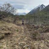 Johnson Pass, Alaska - 92 Reviews, Map | AllTrails